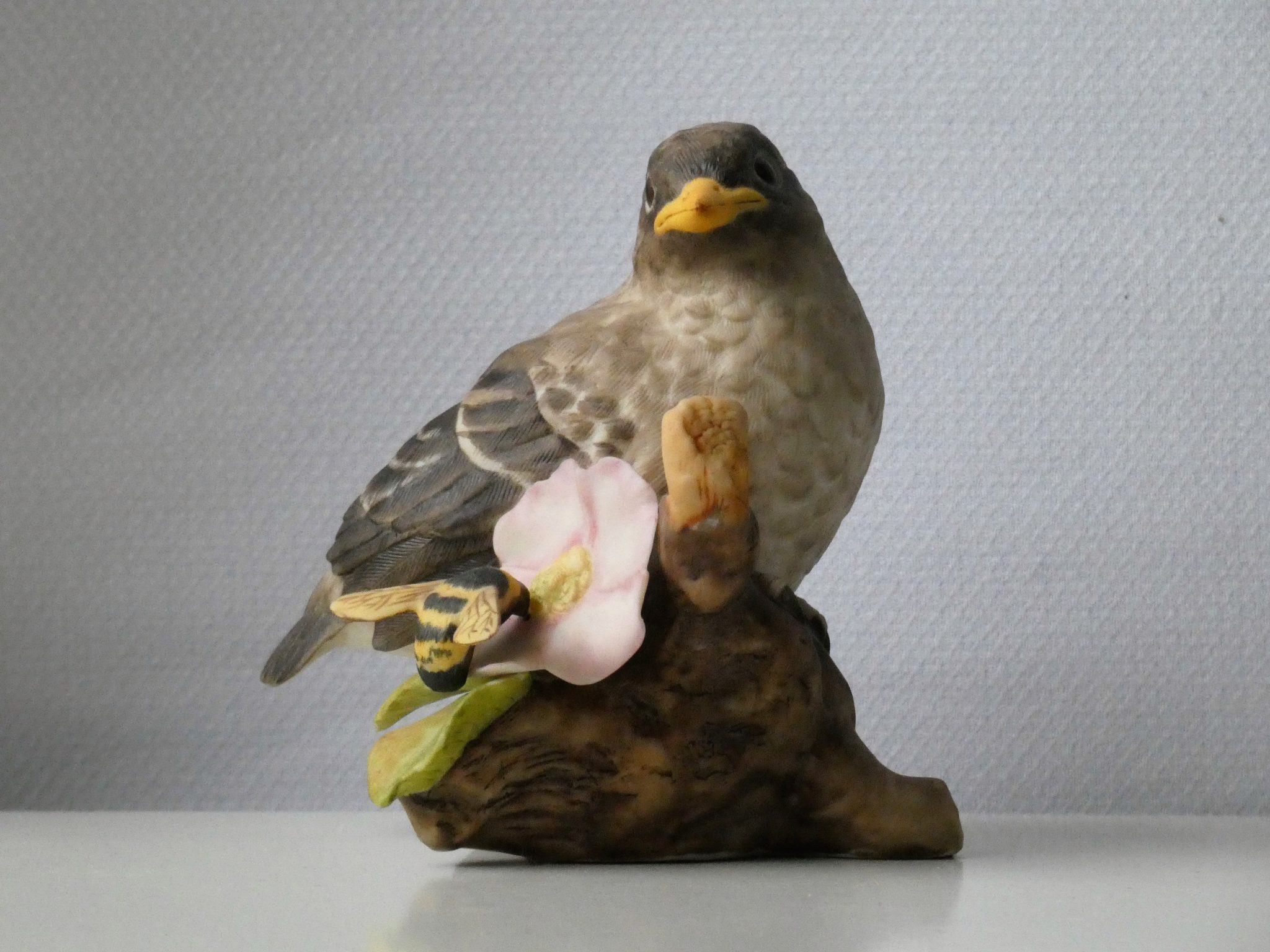 Mockingbird Chick | De Vogels van Goebel – Die Vögel von Goebel ...