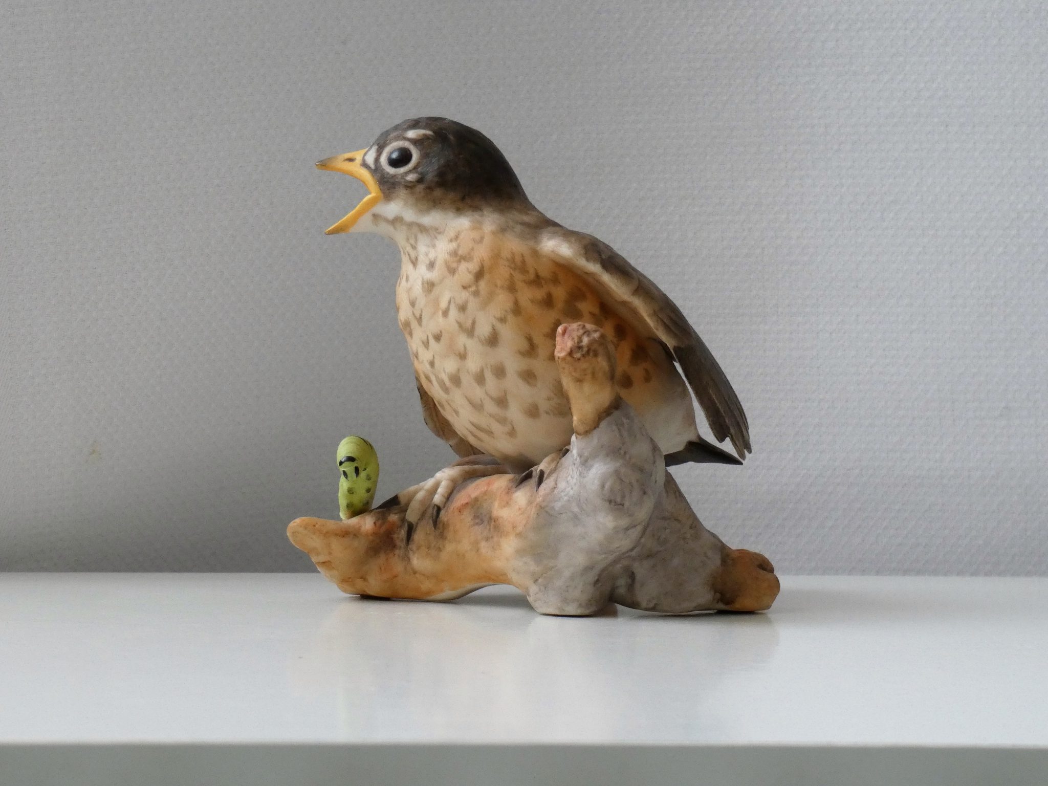 Robin Chick | De Vogels van Goebel – Die Vögel von Goebel – Goebel's Birds